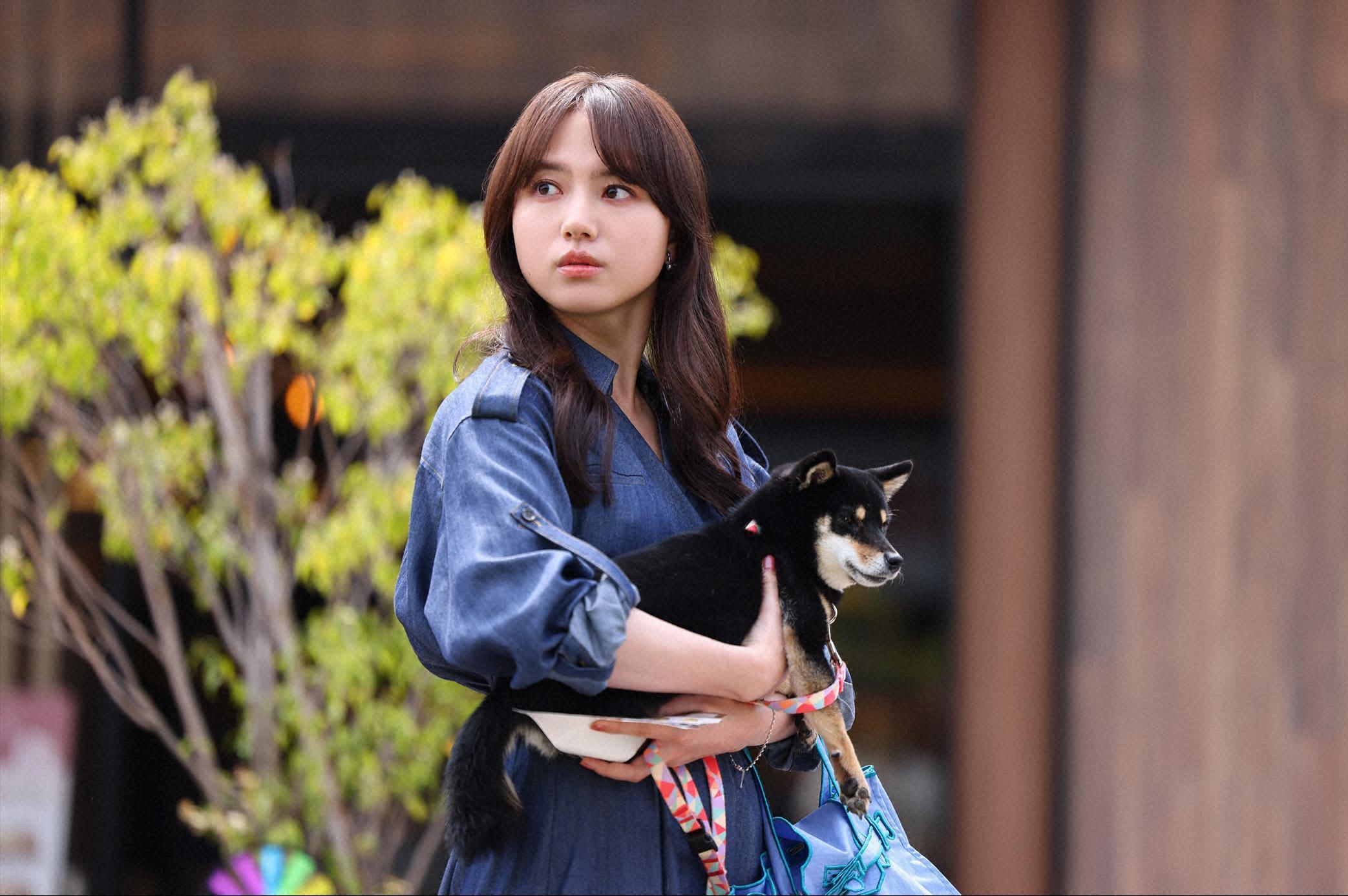 HBO Max Launches Japanese Collection This October | Pressroom