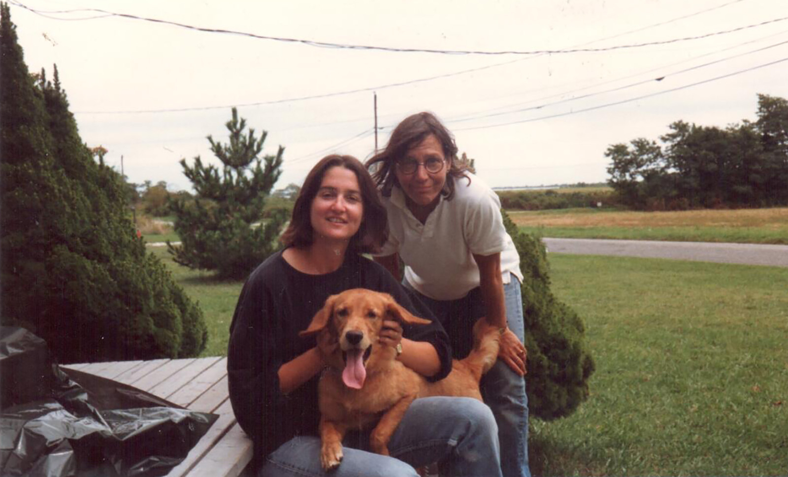 Robin Young's Instagram, Twitter & Facebook on IDCrawl